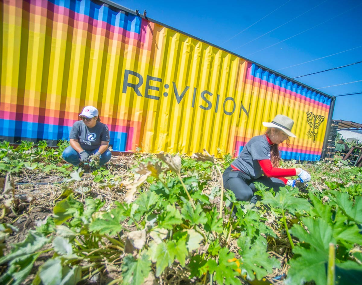 Sustainability Report | About | Corporate | Xcel Energy