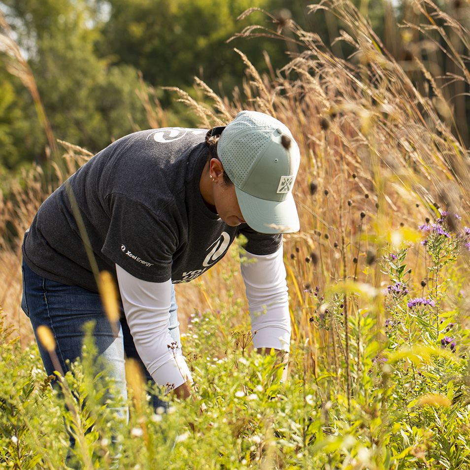 Sustainability Report | About | Corporate | Xcel Energy