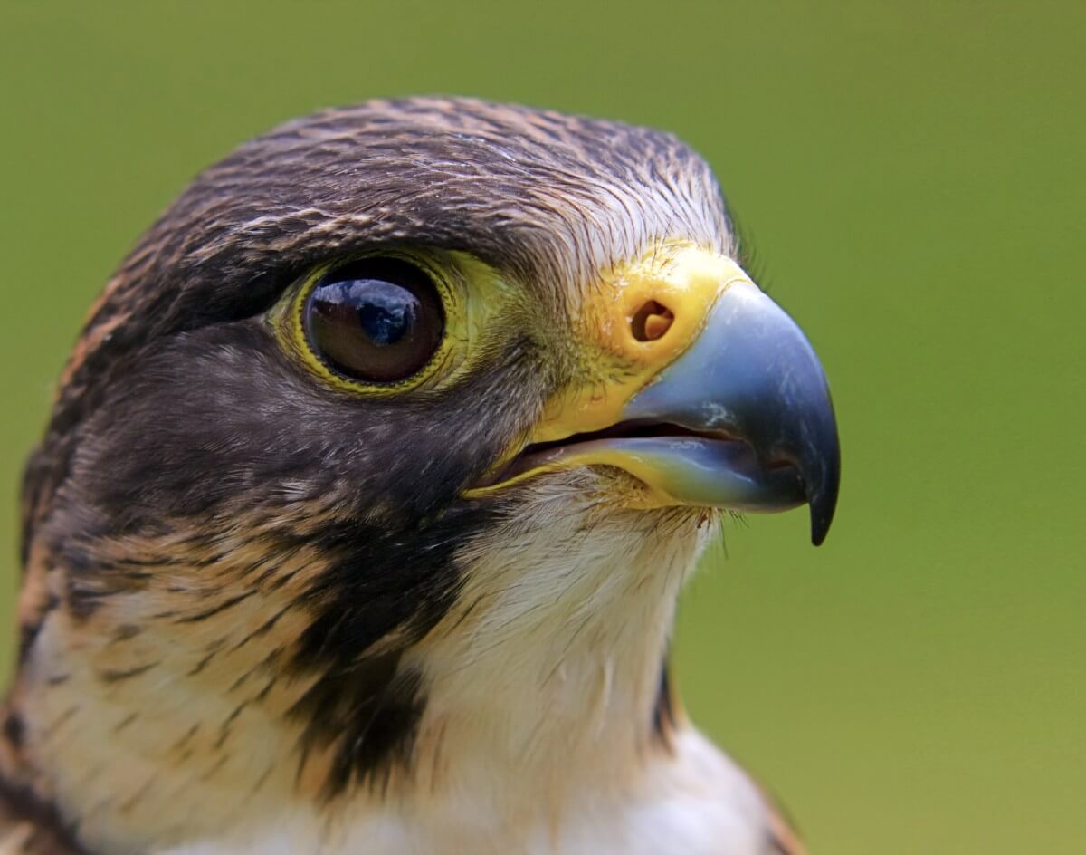 Community | Corporate | Xcel Energy