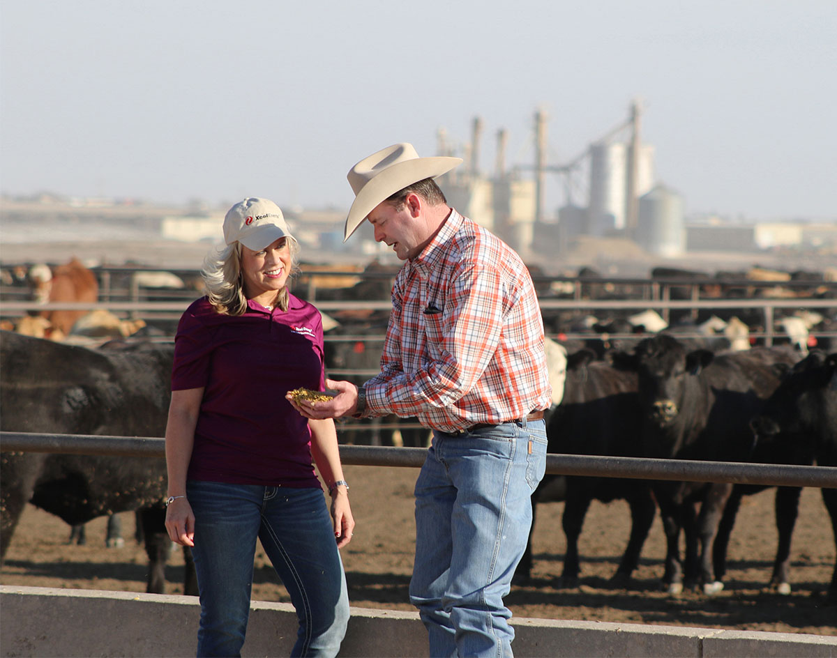 Employee Stories | Community | Xcel Energy